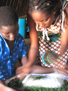 Green Shakes in Sudan: Making Kisra