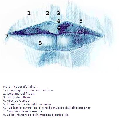 QUEILOSCOPIA