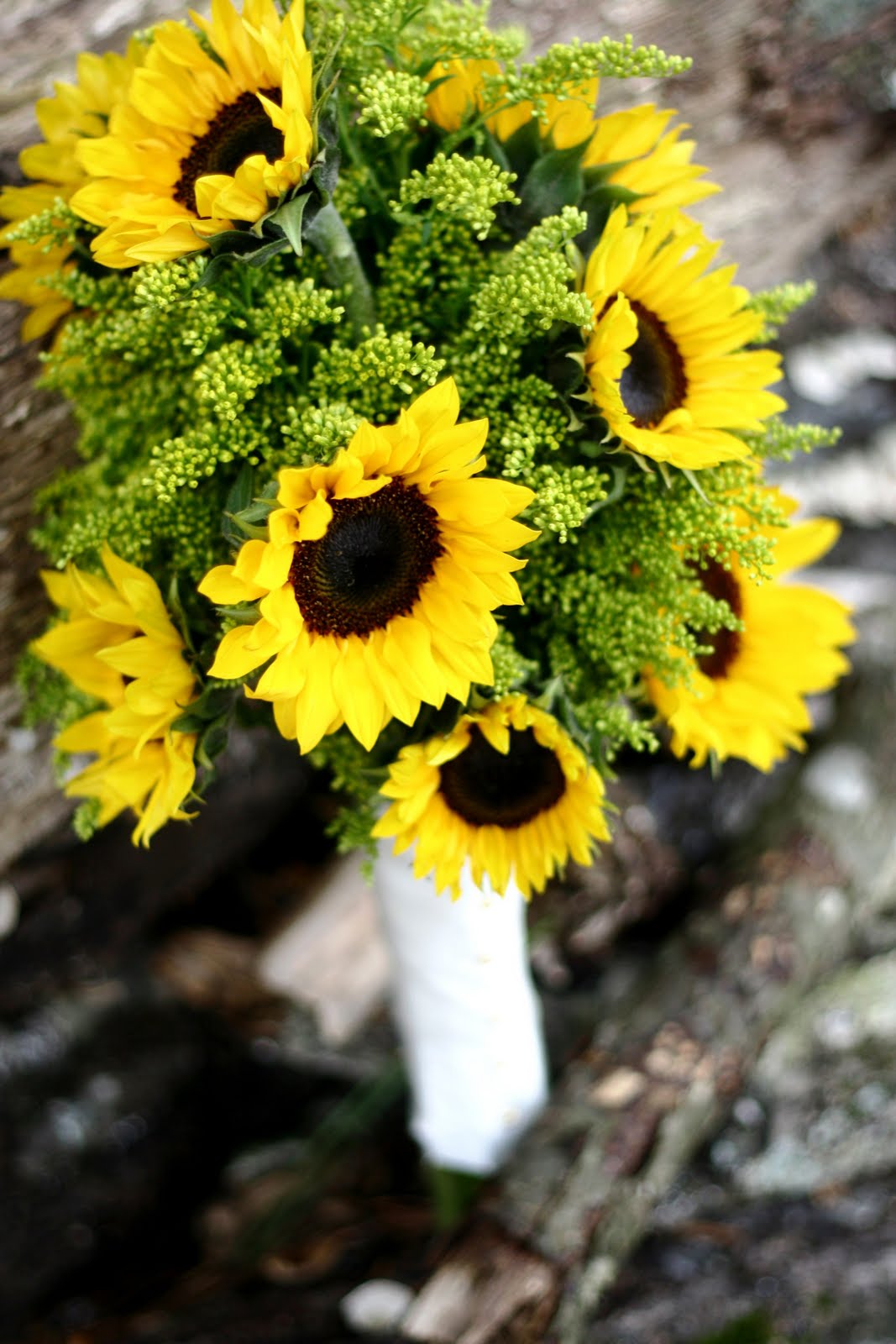 Mayflowers Nashville ~ Floral Design: Sunflower Bouquet