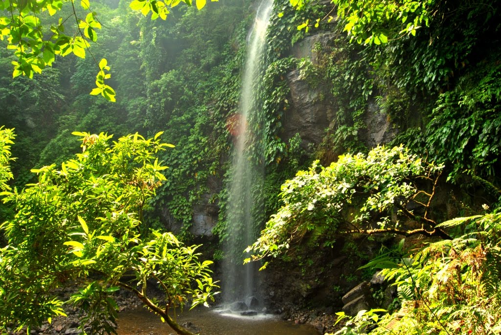 THE WORLD ACCORDING TO MY LENS: at the foot of Mt Makiling