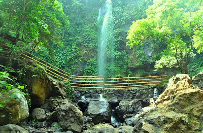 THE WORLD ACCORDING TO MY LENS: at the foot of Mt Makiling