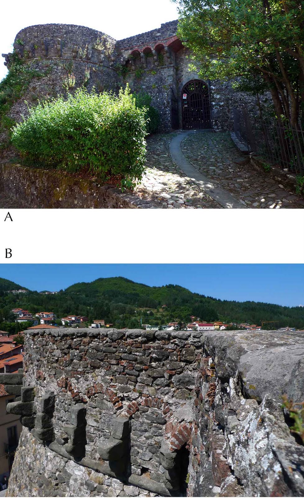 Segni dell'Auser: Confezionando tavole, le Madonne di Pietro da Talada ...