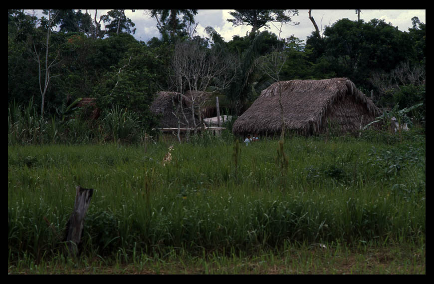 Textos y fotos: PIAPOCO