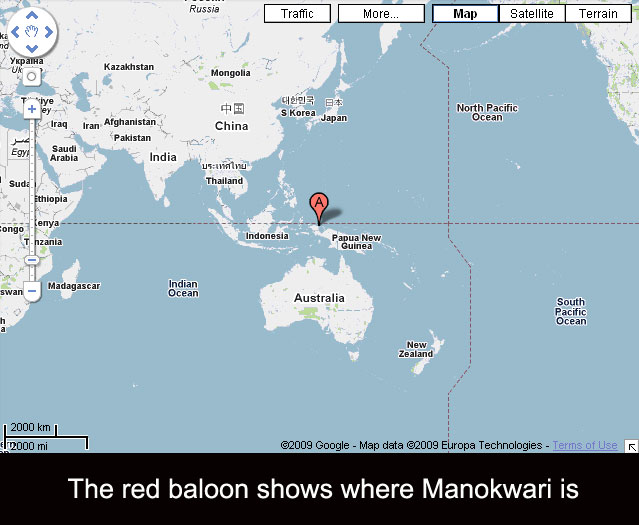 Birding and Wildlife Watching: Where is Manokwari