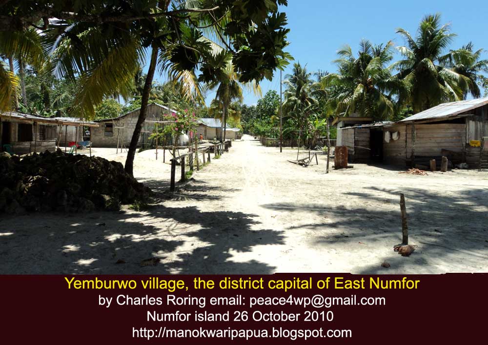 Birding and Wildlife Watching: Tropical Rainforest of Numfor Island ...