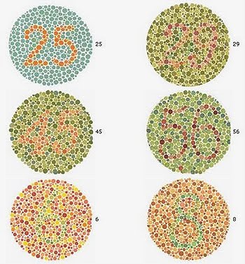 EyeSite: Color Blindness