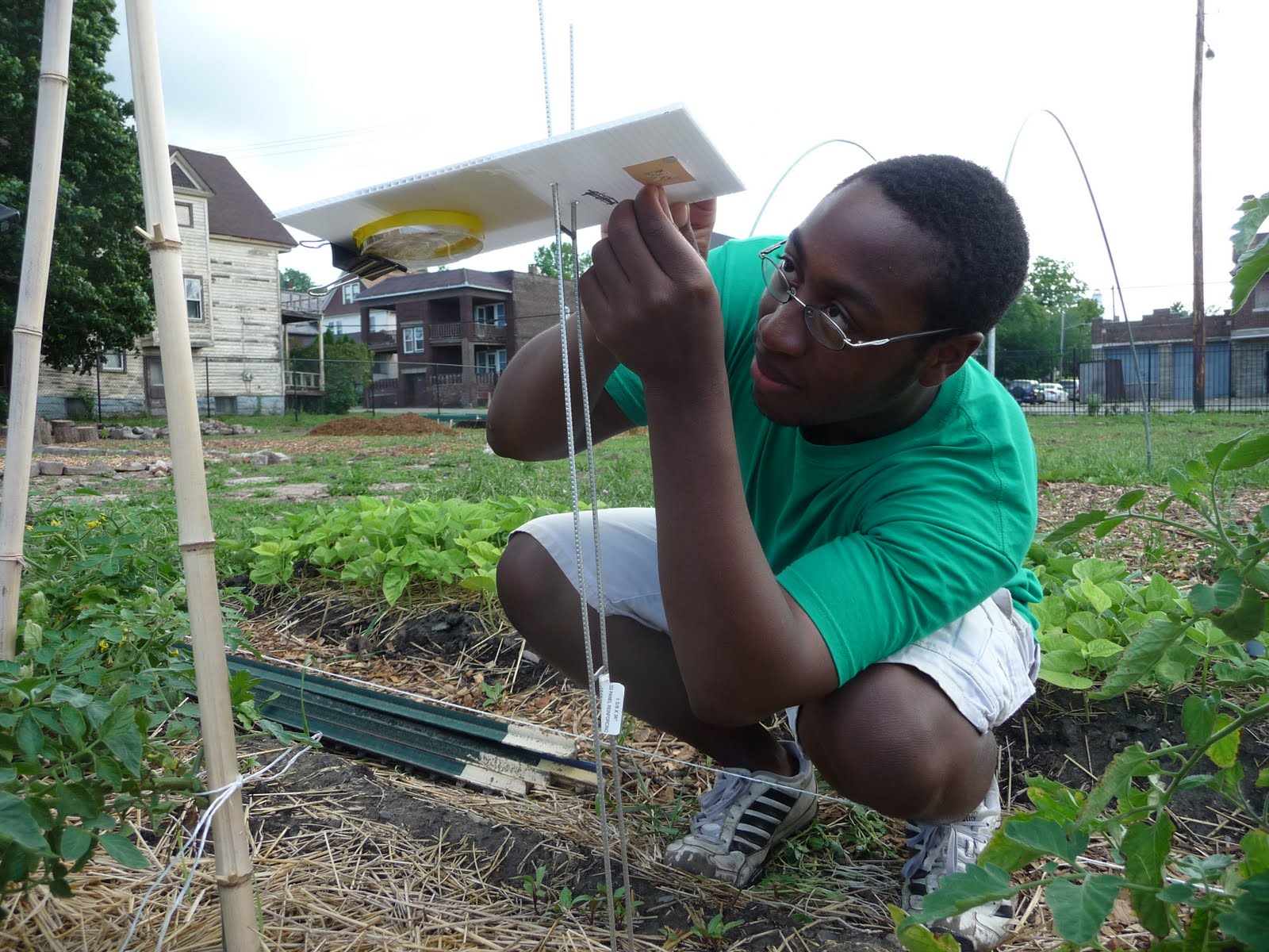 The Agricultural Landscape Ecology Lab: Summer Research Jobs for ...