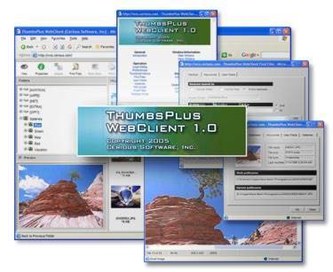 teleinformatica: Software de red