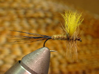 Virginia Medical Fly Fishing: Mr. Rapidan Himself