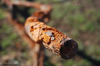 Amazing Pics - Worlds Most Amazing Pictures: Amazing Rust