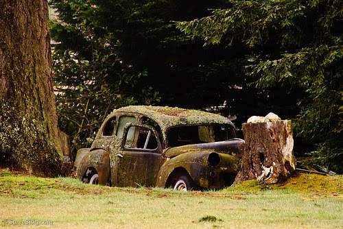 Amazing Pics - Worlds Most Amazing Pictures: Amazing Rusted Cars
