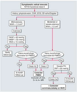 MITRAL STENOSIS « De Reincarnation Team