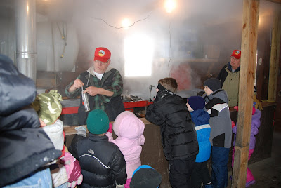 GeoEcology: Sugar maples in sunshine; how sweet it is...