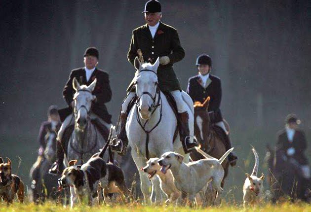 MOJ SALON ZA DURENJE : lov na lisice