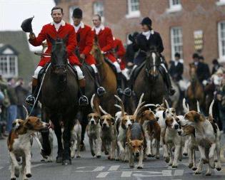 MOJ SALON ZA DURENJE : lov na lisice