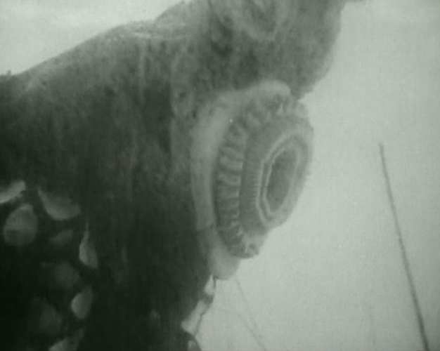 John Rozum.com: 31 Days of Halloween - Day 14 - Movie 2