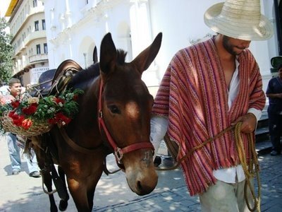 CARACAS EN RETROSPECTIVA: Llegó Pacheco