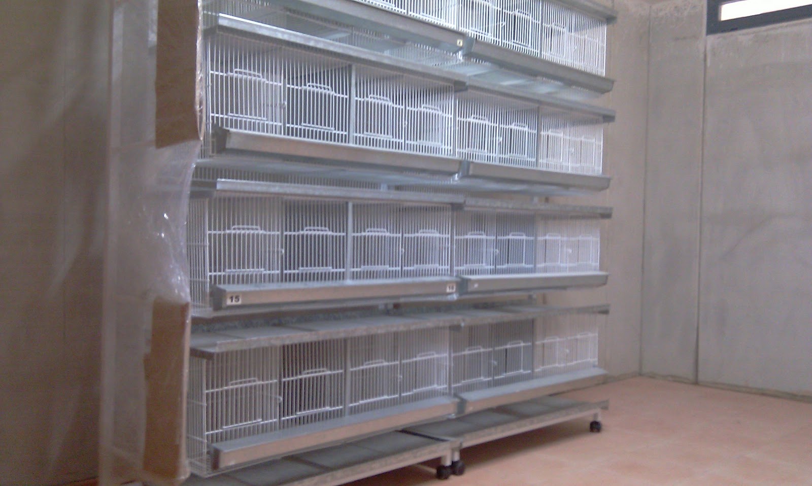 Aviario Diaz: Aviario