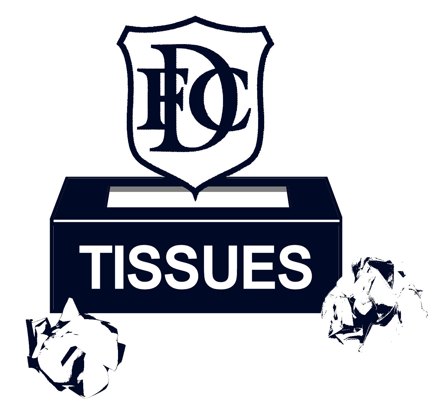 THE DUNDEE FUTBA SHRINE CRESTFALLEN the-dundee-futba-shrine-crestfallen
