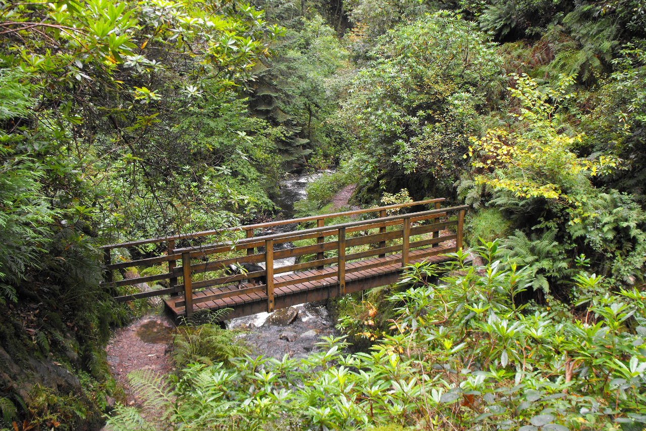 The Lake Landers: La'al Ratty & Stanley Force Falls