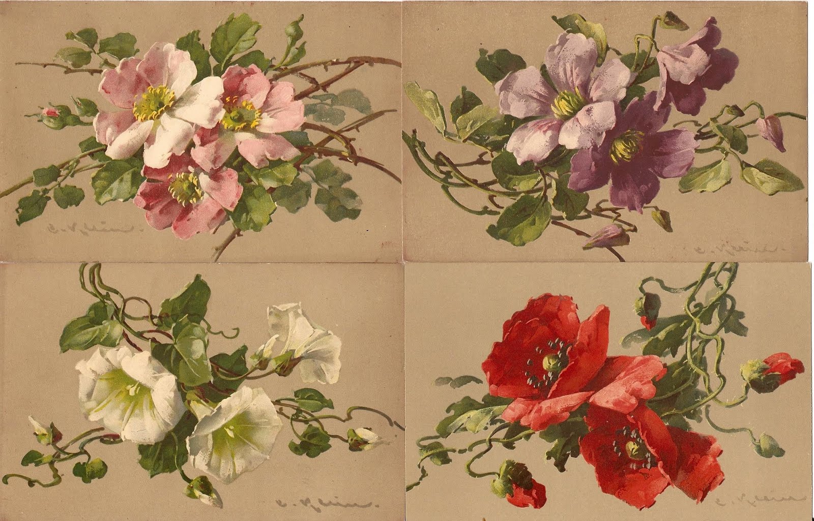 C.Klein - Artist Signed Postcards