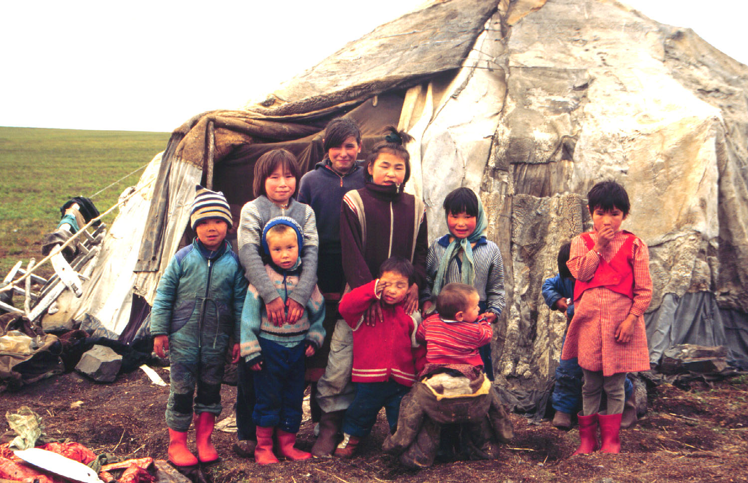 habitatio_2: Csukcs jaranga / Chukchi Yaranga