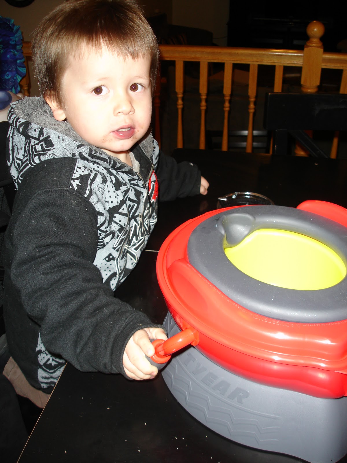 Where My Wild Things Are: 2011-01-23