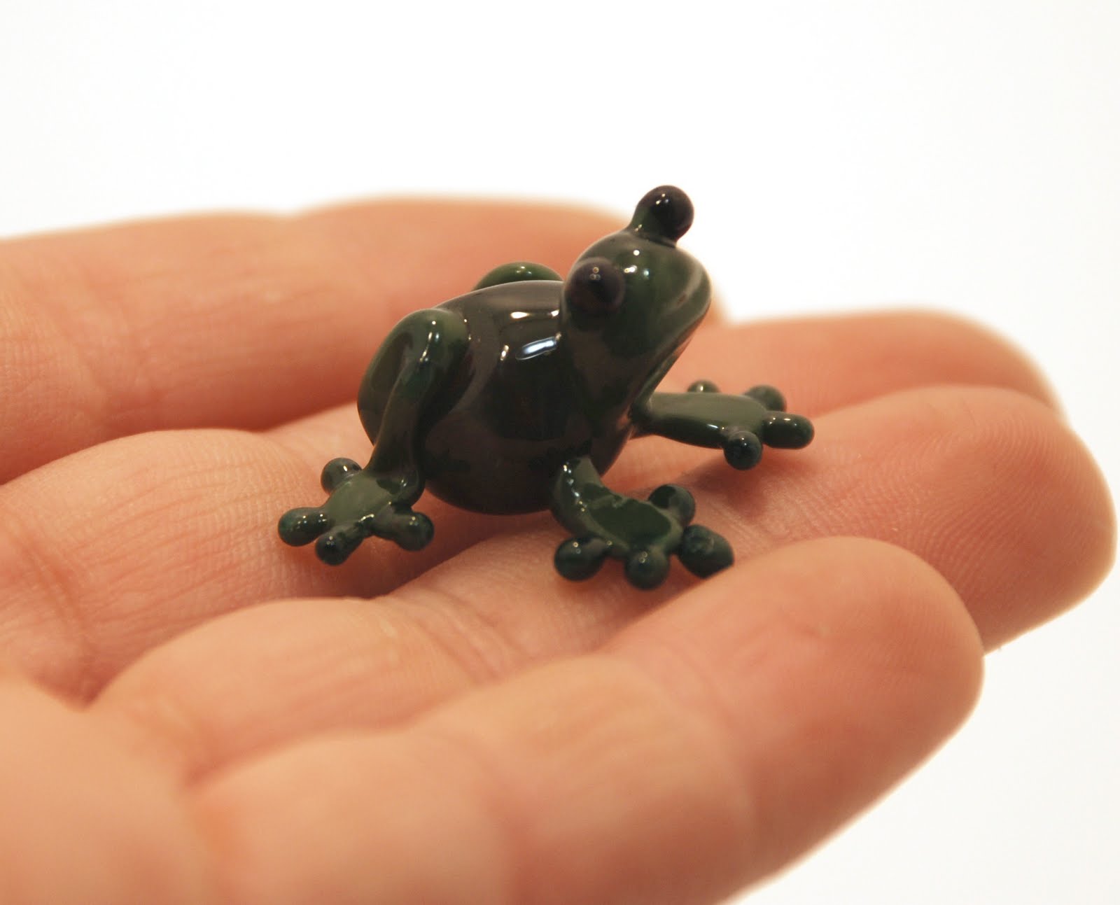 the Garden of Leah: Glass Frogs