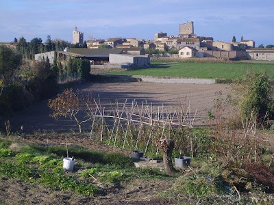 Qué visitar en Palau-sator - habitaclia.com