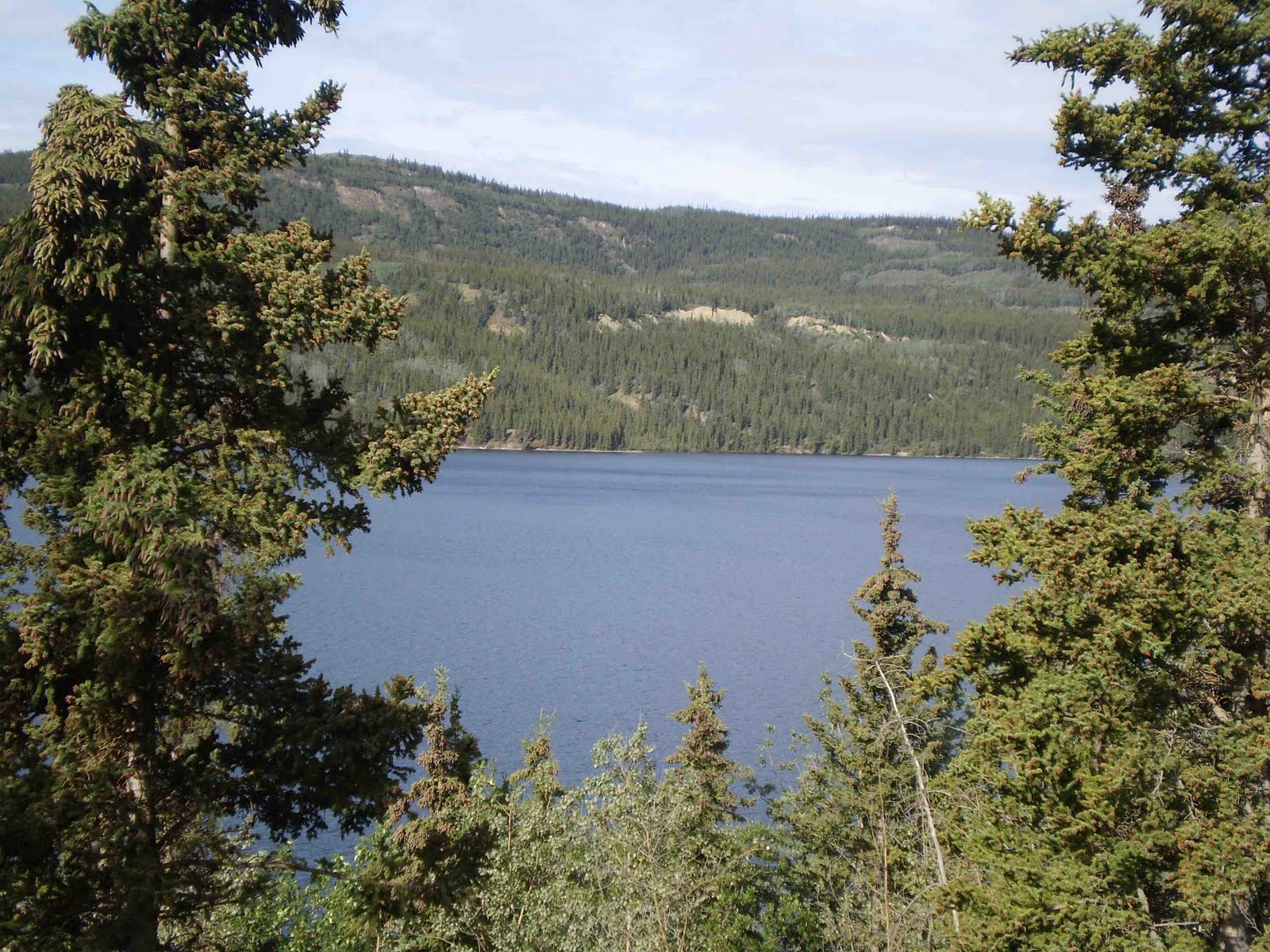 The Life Journey of Bill and Sheila. Tales From The Road of Life ...