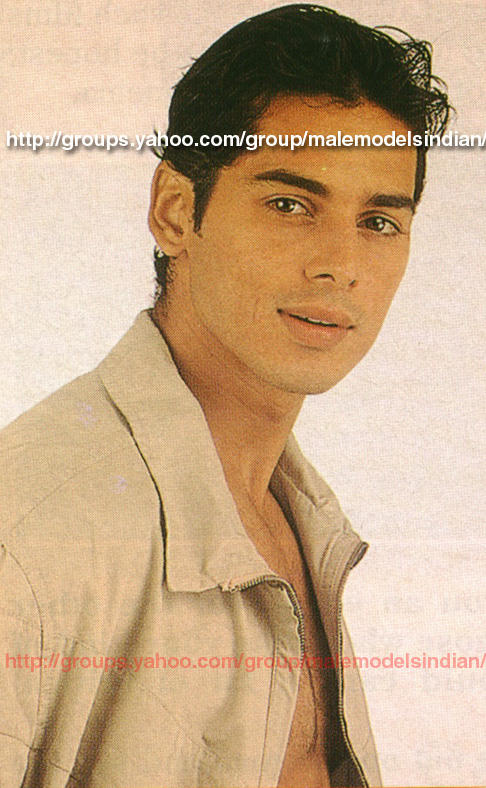 Dino Morea