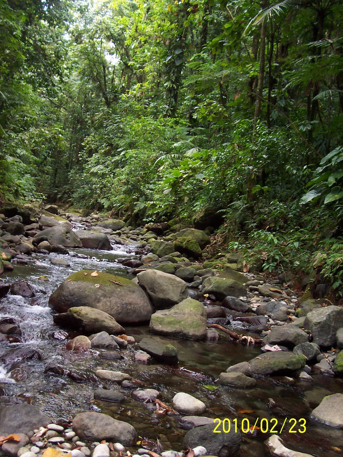 Pagua Bay ~ Dominica, West Indies: Dominica Landscapes