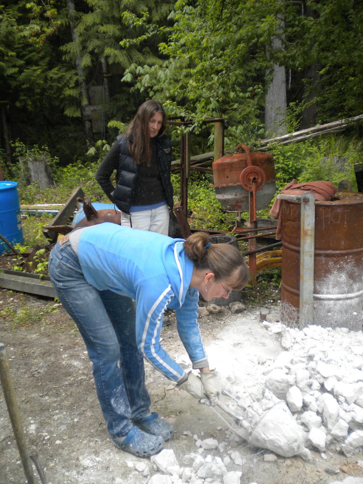 Four Bees: Big Bronze Day