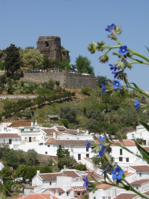 PASEO FOTOGRÁFICO POR CONSTANTINA ( SEVILLA ): Paseo por Constantina