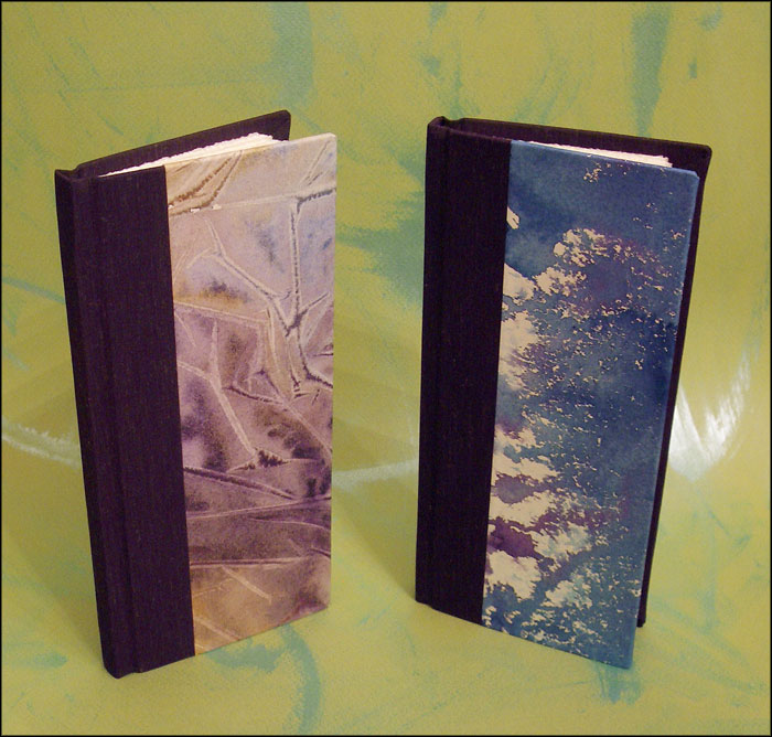 Official International Fake Journal Blog: The 2010 International Fake ...