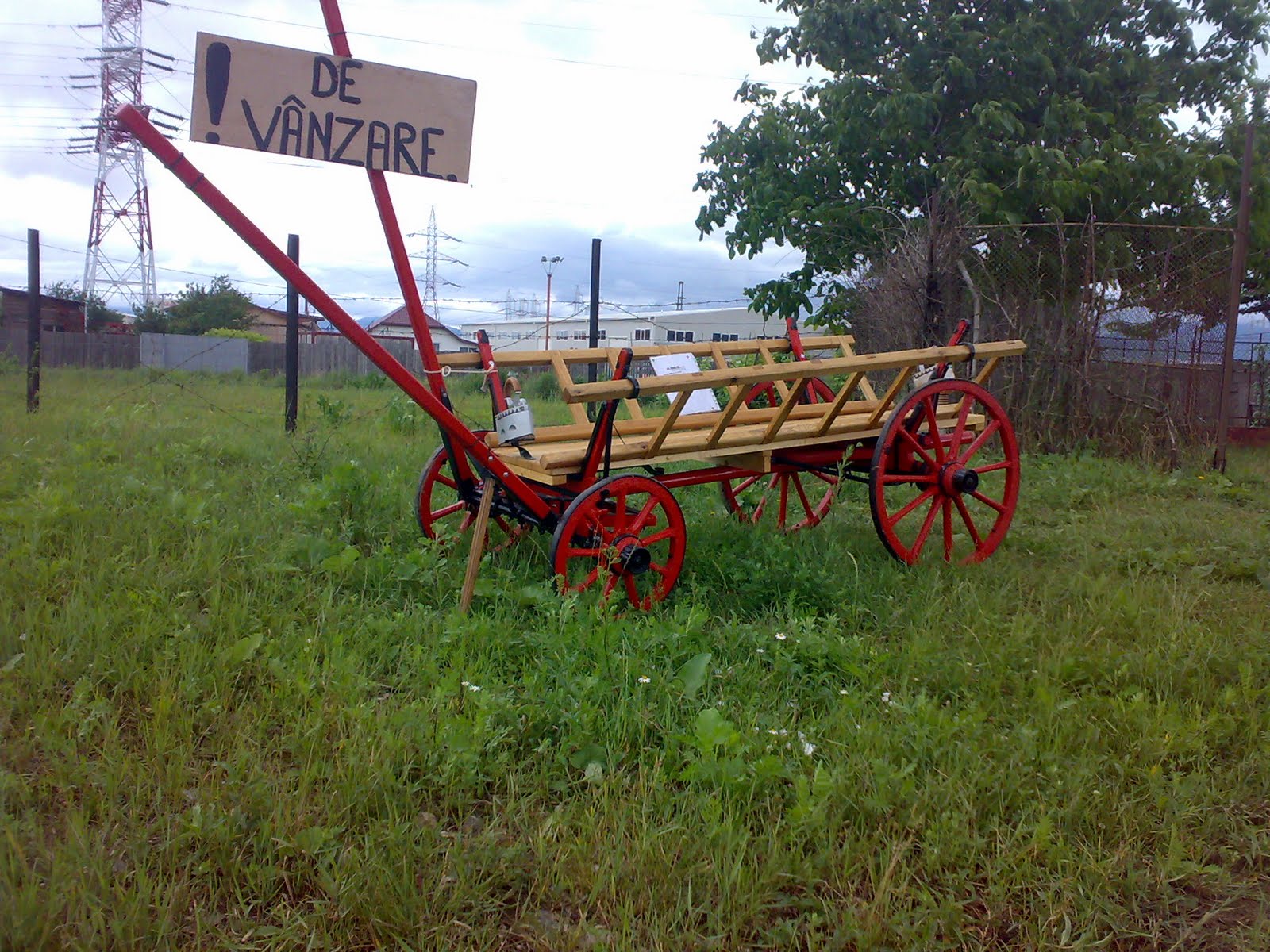 Aranjamente Rustice: Caruta-Oglinda