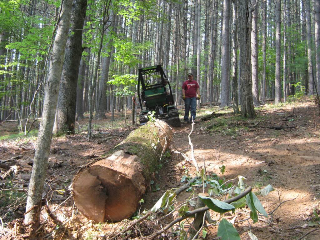 Extreme Forest Makeover-New River Valley: Small Scale Harvesting ...
