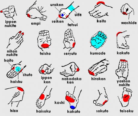 JKA NIKKEY ASSOCIACAO ARAPONGUENSE: Posições - Dachi e Golpes (Tecnicas ...