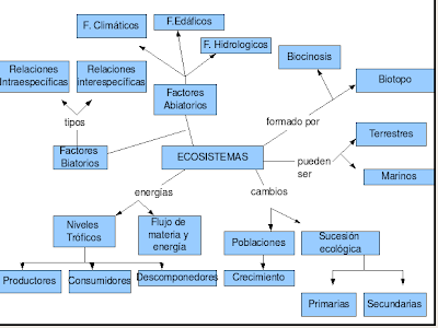 ISa y La CiEnCiA: ESQUEMA DEL ECOSISTEMA