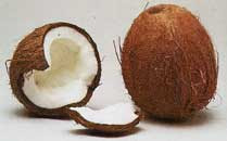 Flora y Fauna: flora de arboles frutales