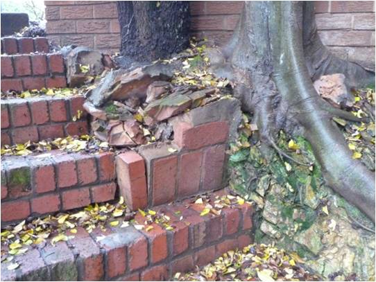 StAlbansgeography: Geomorphology