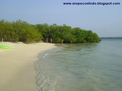 Arepa con Todo: Parque Nacional Morrocoy: CAYO SAL (parte 4 de 5)