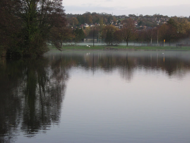 match,pleasure fishing.: WATERSMEET. LYDNEY LAKE.