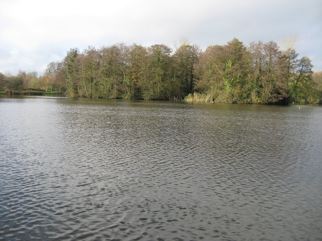match,pleasure fishing.: WATERSMEET. LYDNEY LAKE.