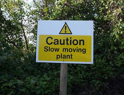 my pointless: country signs