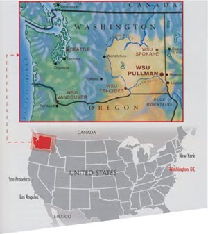 [nov-uhl-tee]: August 2010