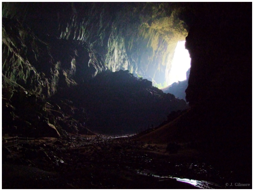 Webb's Blog: Research of real life caves, mushroom forests and cavern ...