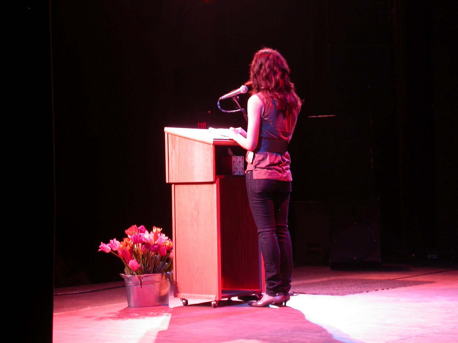 Crossing Over – Ann Imig