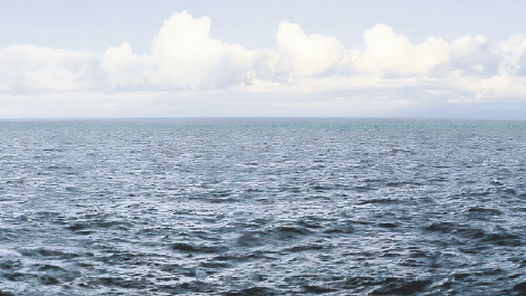 SABER MAS: Una obra de Helmut Ditsch batió el récord histórico para el ...