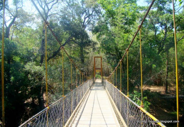 Nisargadhama - JungleKey.in Image #50